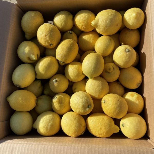 Limoni · AranciaDOC